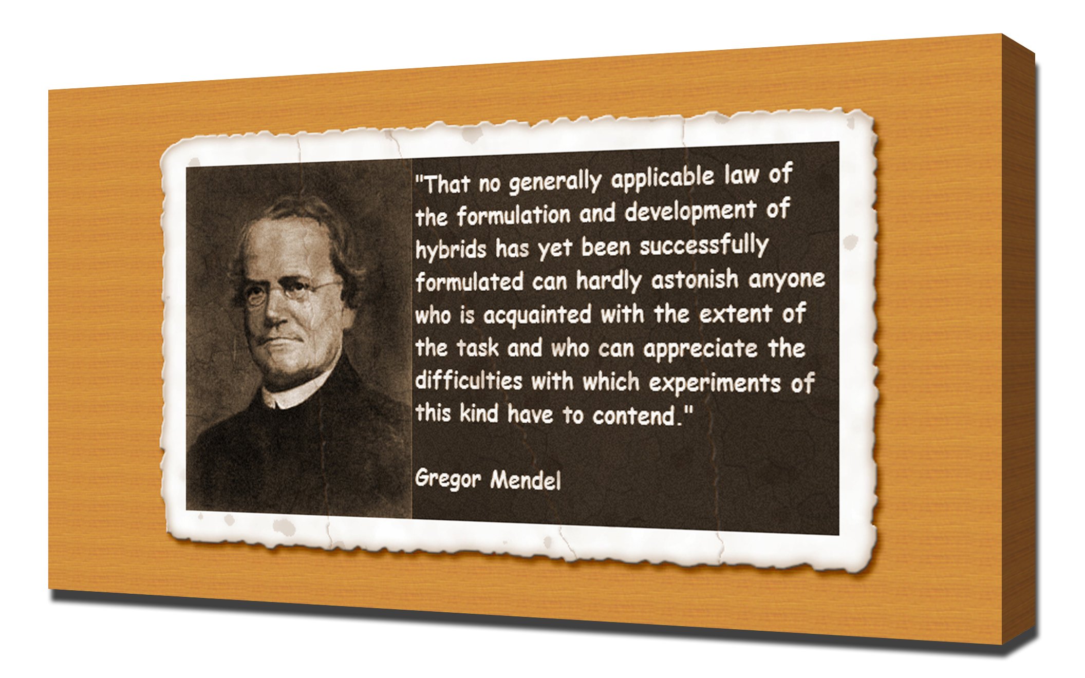 Gregor Mendel Quotes