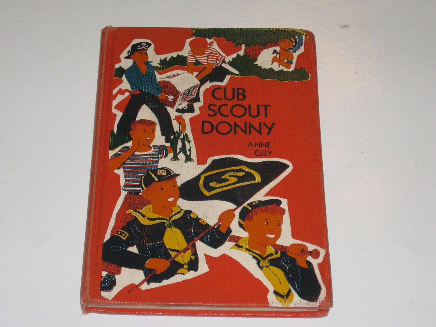 Cub Scout Donny: Guy, Anne Welsh: Amazon.com: Books