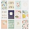 Amazon.com : Leanin' Tree, Greeting Cards Assortment Box, 20 All ...
