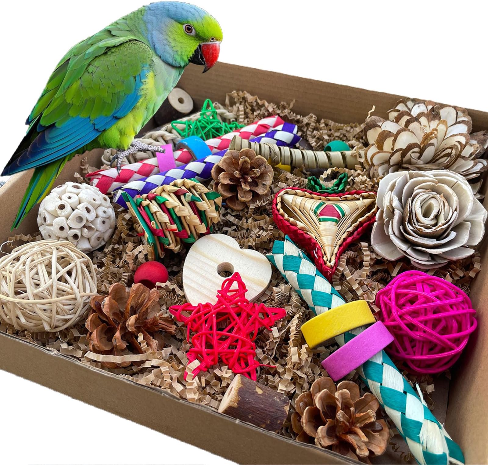 Amazon.com : ExcyphrXyf Bird Foraging & Bird Shredding Toys Box,Natural ...