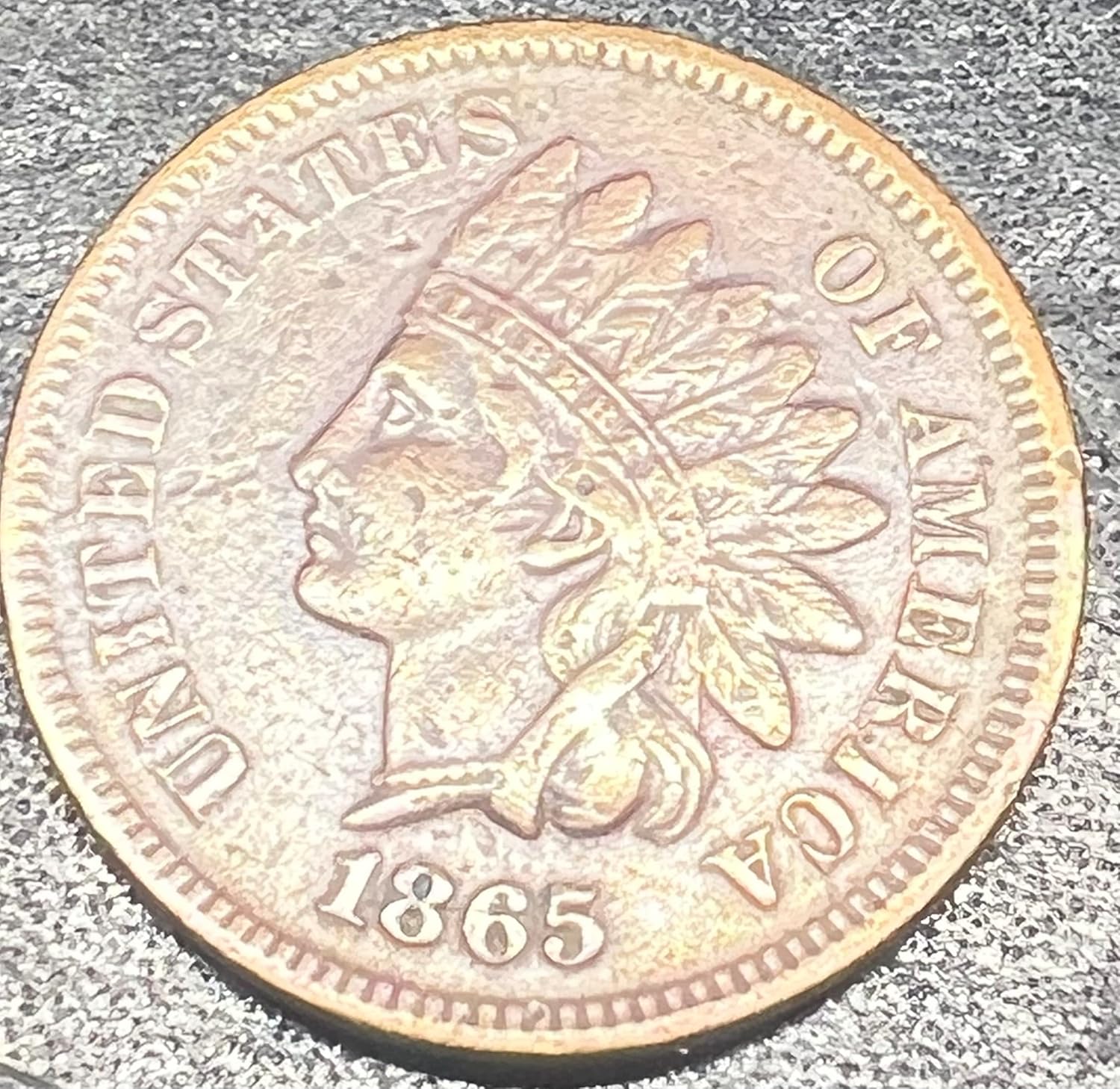 1865 P Indian head Penny Cent Condition Very Fine Details at Amazon's ...