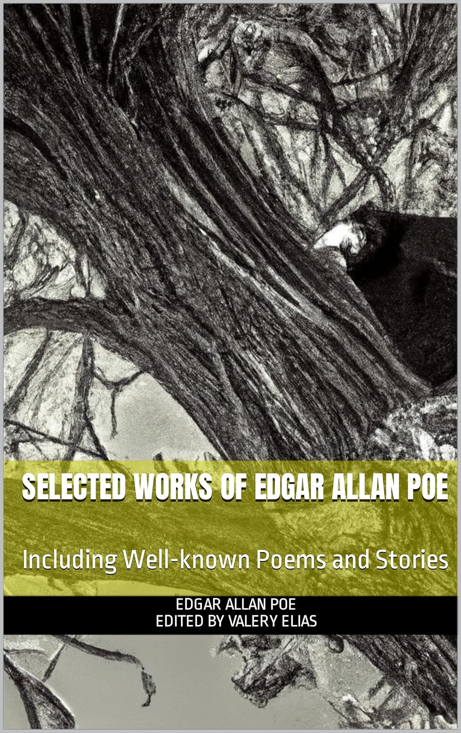 Selected Works of Edgar Allan Poe: Including Well-known Poems and ...