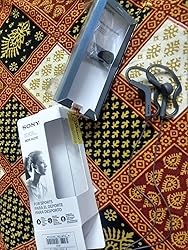 Sony MDR-AS210 in-Ear Active Sports Wired Headphones Without Mic (Black ...