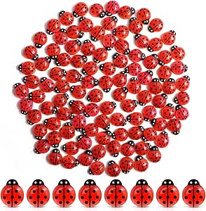 Amazon.com: 100 PCS Mini Resin Red Ladybugs, Miniature Ladybugs ...