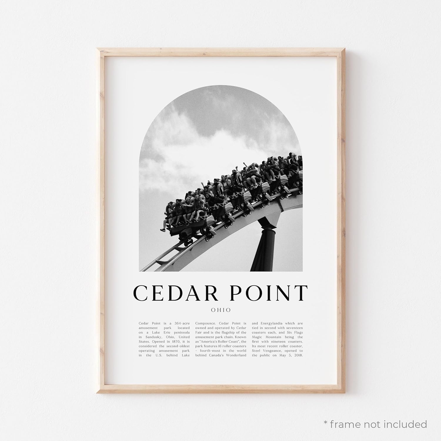 Amazon.com: Cedar Point Art Print, Cedar Point Poster, Cedar Point ...