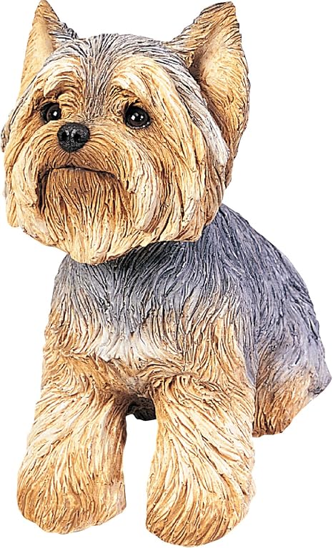 Amazon.com: Sandicast Original Size Yorkshire Terrier Sculpture ...