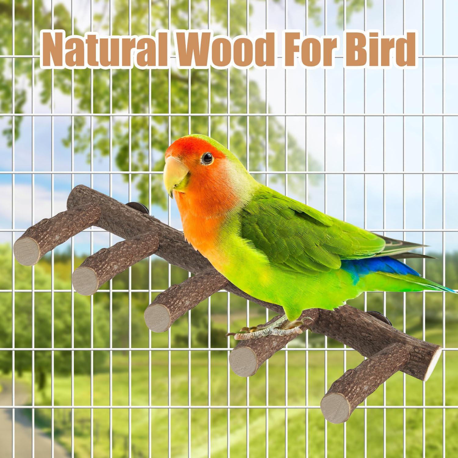Snapklik.com : Parrot Wood Stand, 122Inch Length Parrot Perch For Cage ...