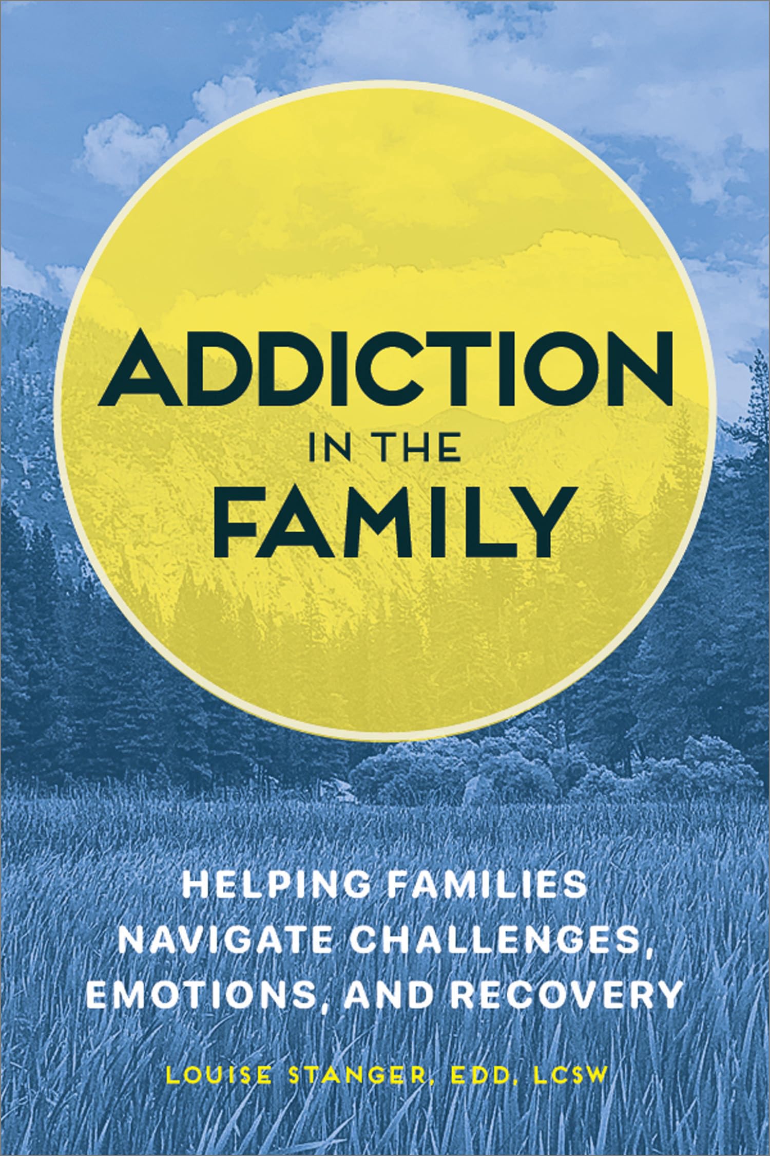 Addiction in the Family: Helping Families Navigate Challenges, Emotions ...