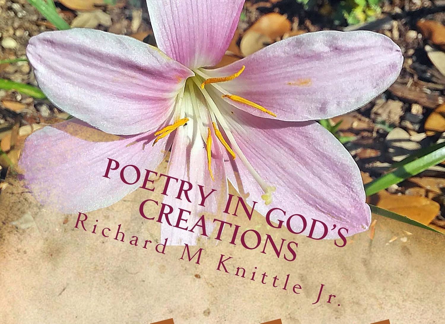 Amazon.com: Poetry in God's Creations: A Poets Journey eBook : Knittle ...