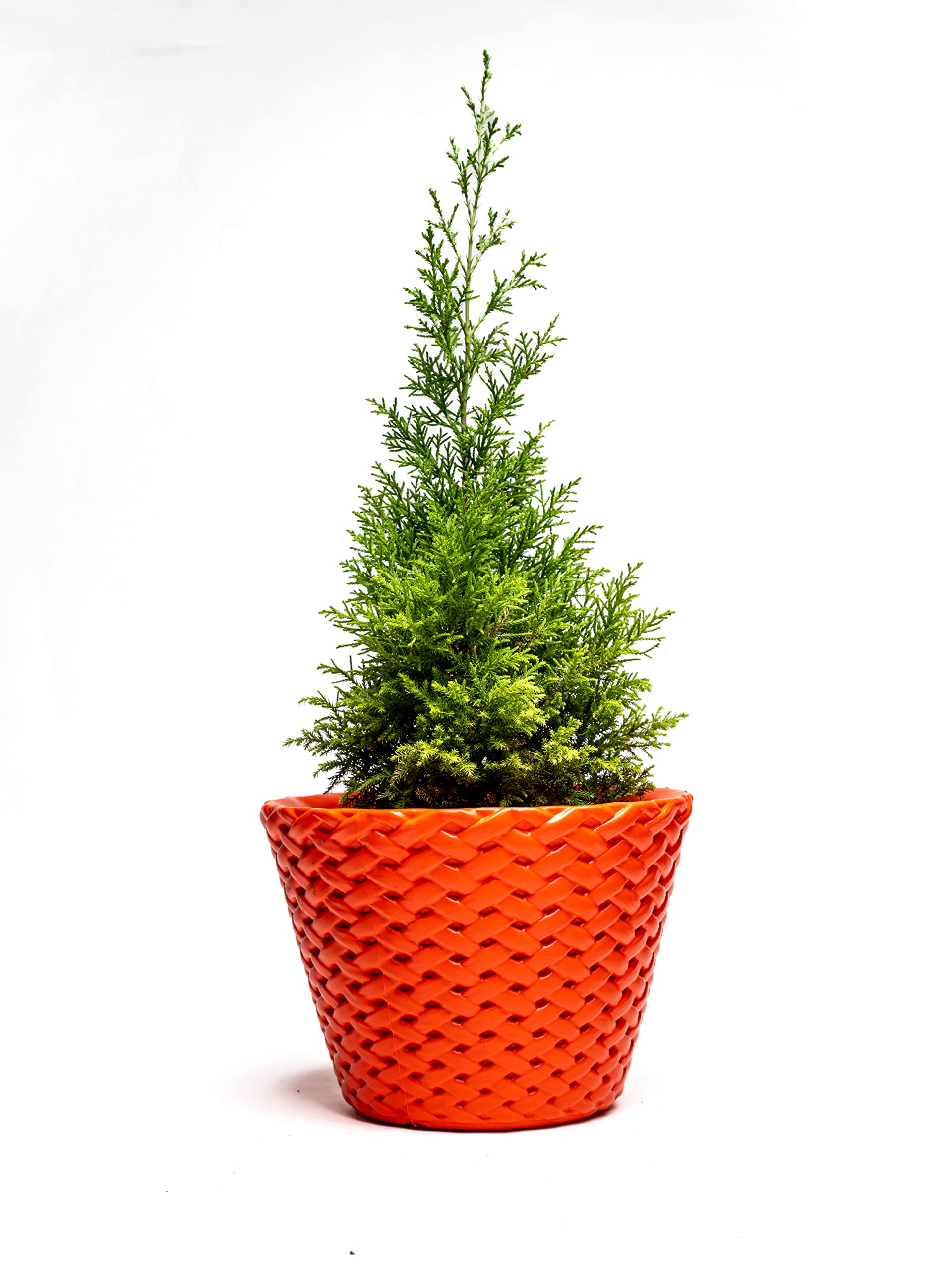 Nested Greens - Majestic Pot 10” Inch | Indoor Plant Container | 10 ...
