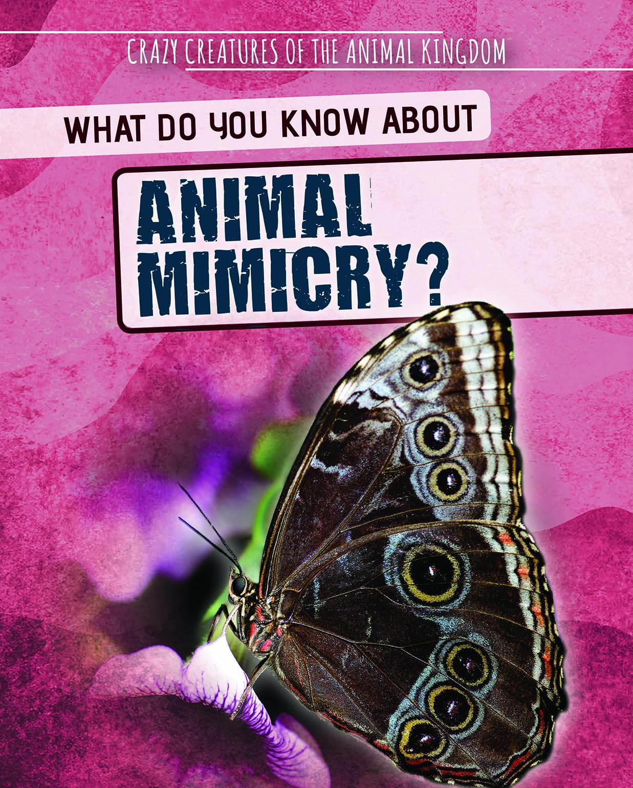 What Do You Know About Animal Mimicry? (Crazy Creatures of the Animal ...
