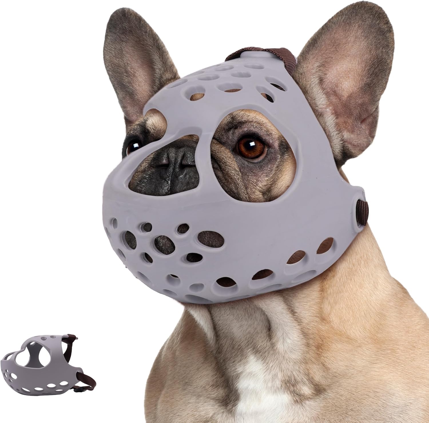Amazon.com : Hamibus Short Snout Dog Muzzle for French Bulldogs, Pugs ...