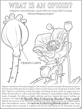 creation coloring pages day 7 opiate