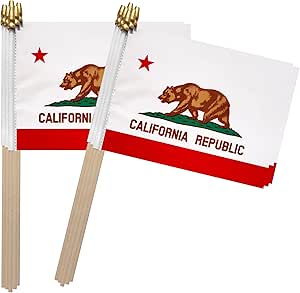 Amazon.com : TSMD California State Stick Flag Small Mini CA Republic ...