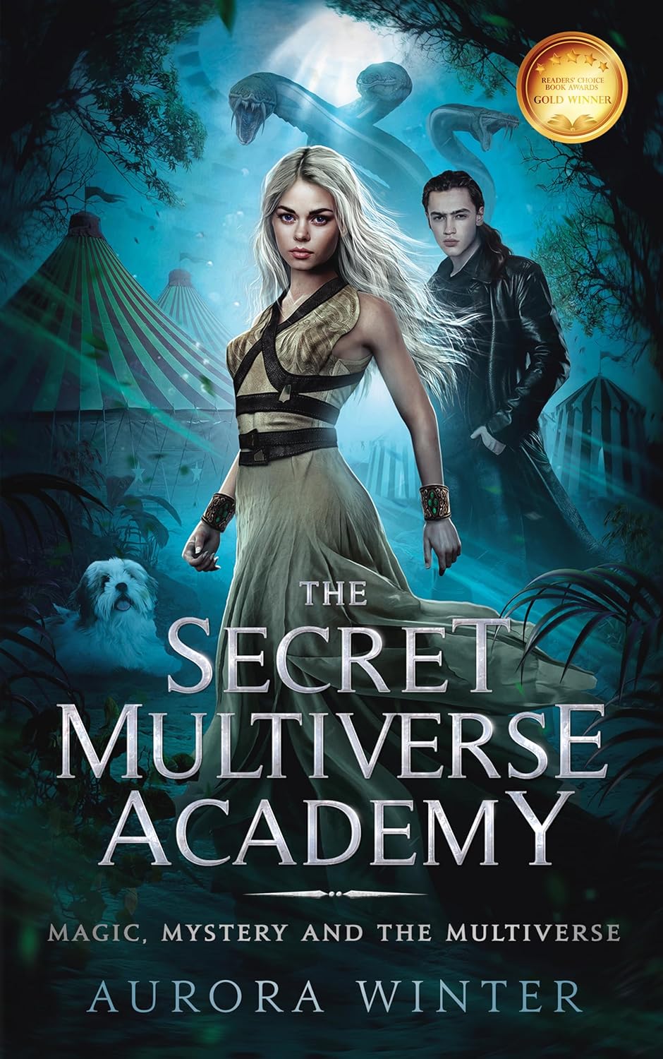 Amazon.com: The Secret Multiverse Academy (Magic Mystery and the ...
