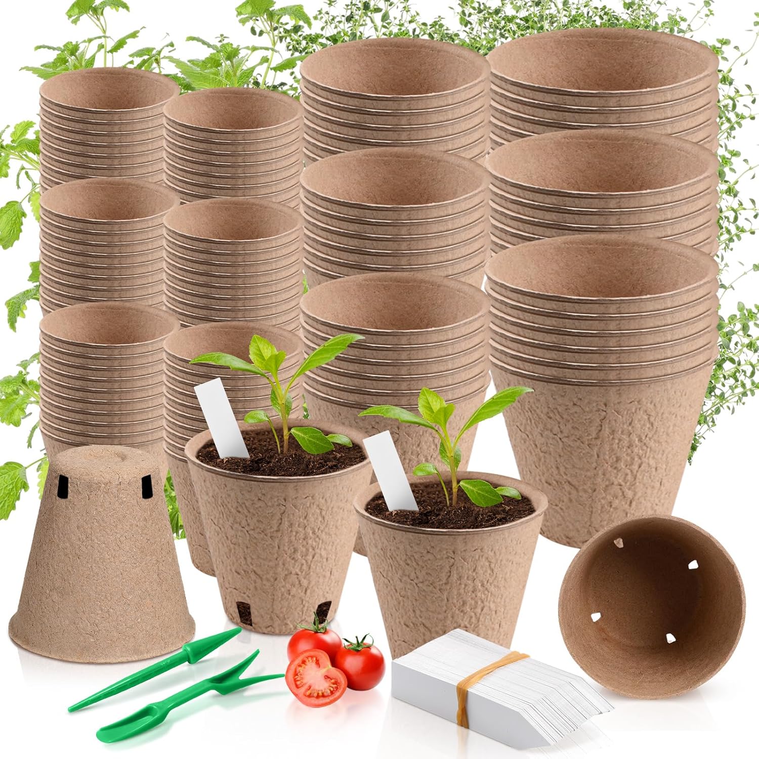Amazon.com: 250 Pcs Peat Pots Round Plant Starter Pots with Drainage ...