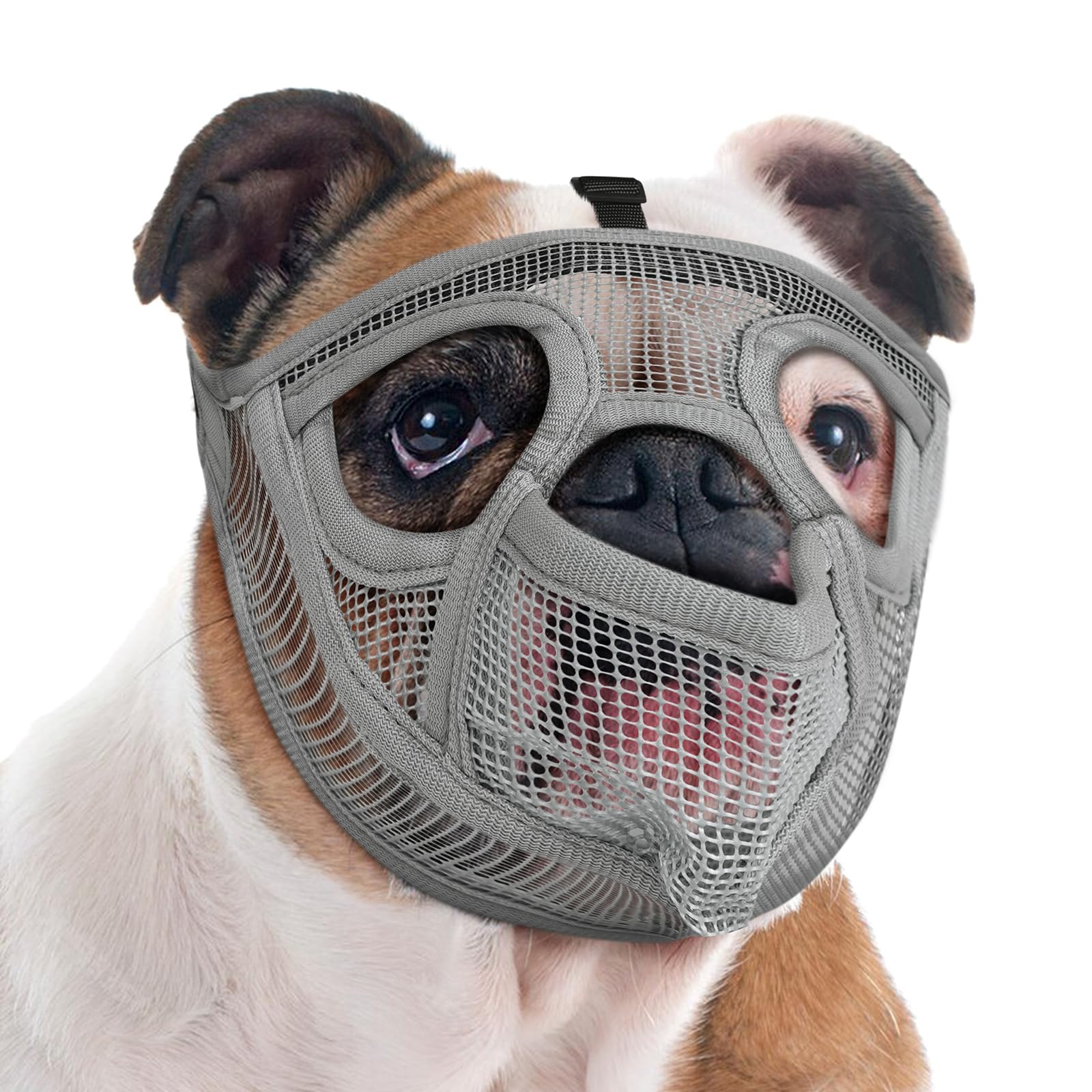 Snapklik.com : Mayerzon Short Snout Dog Muzzle, French Bulldog Muzzle