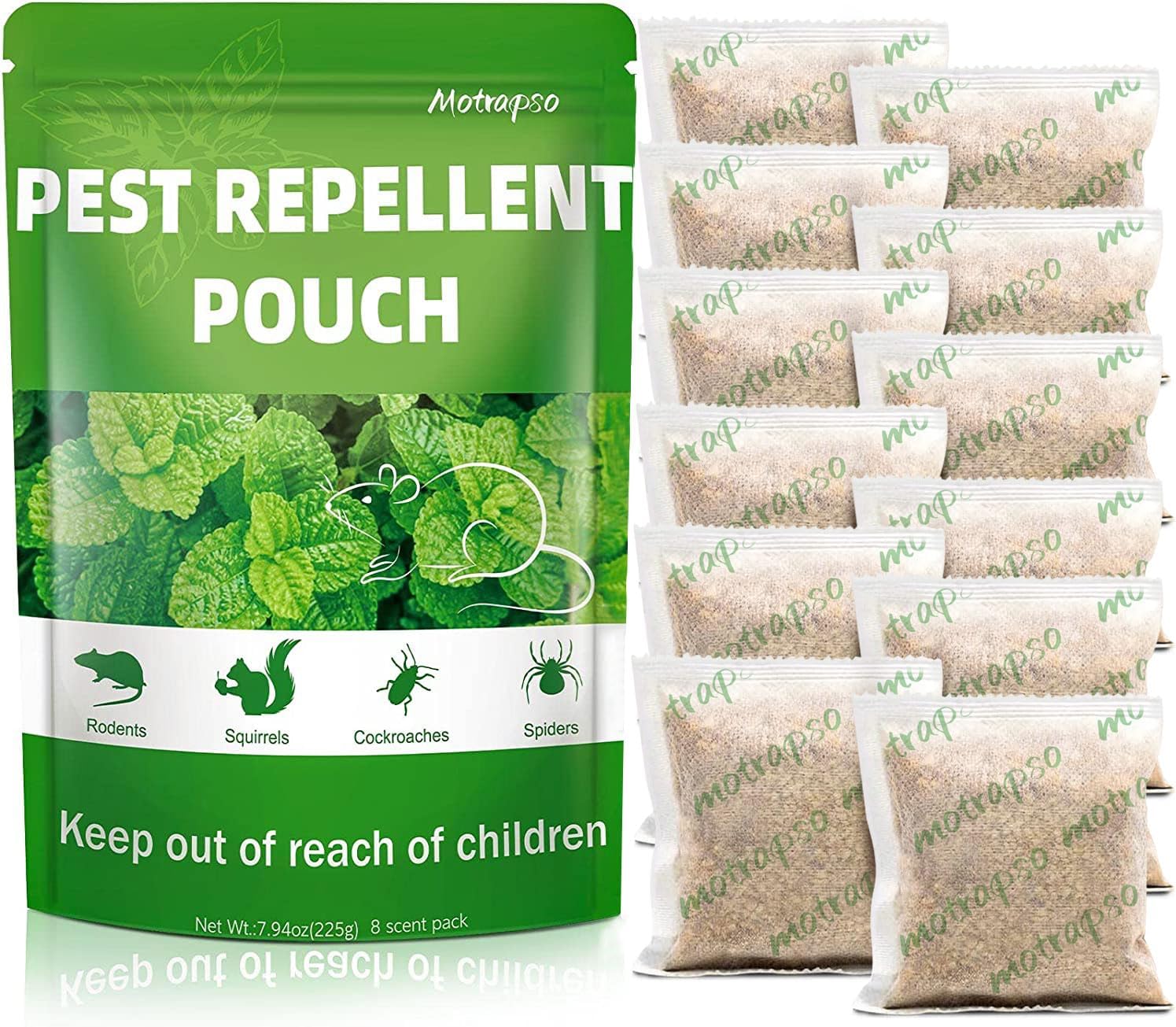 Amazon.com: 12 Pack Mouse Repellent Natural Peppermint Oils Rat ...