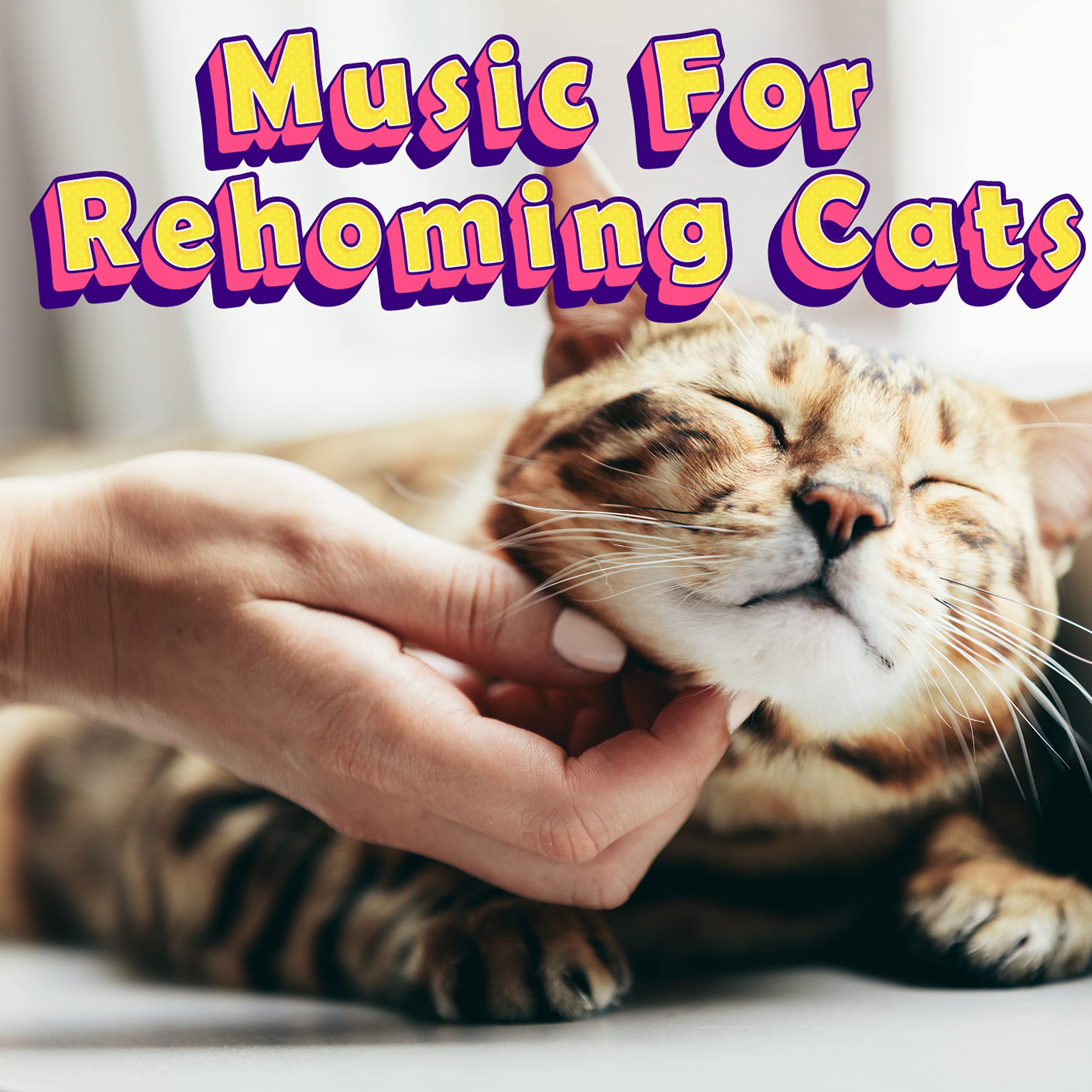 Cat Chill Music song by Music for dog's joys, Music For Cats, World of ...