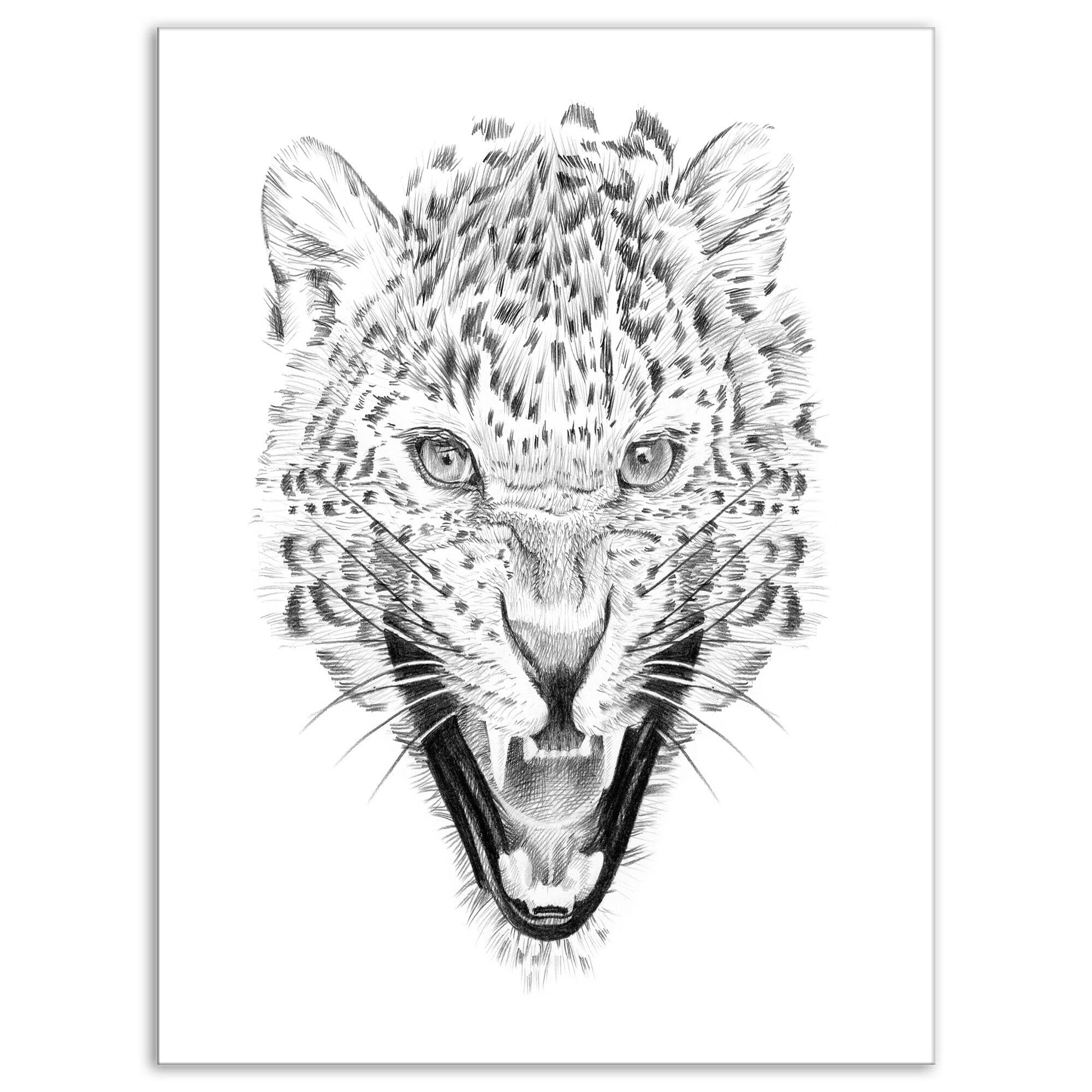 Roaring Leopard Drawing