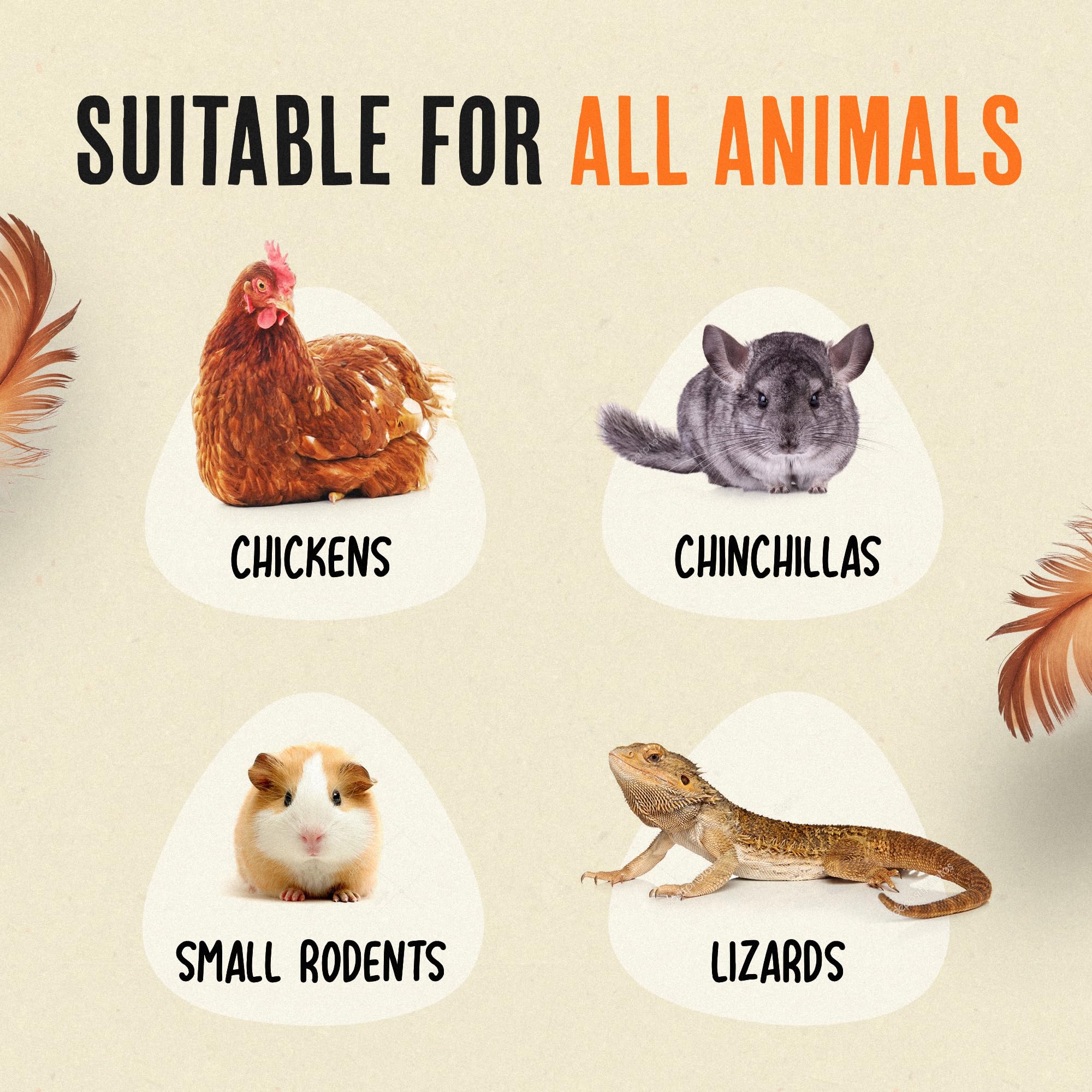 Snapklik.com : Roostys Naturals Chicken Dust Bath 5.5LB Dust Bath For ...