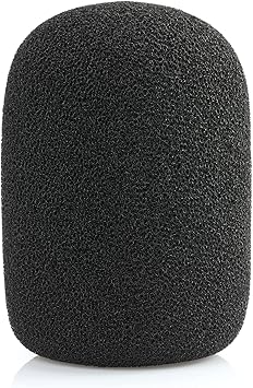 Amazon.com: LEFXMOPHY WS2 Windscreen Microphone Pop Filter for Rode ...
