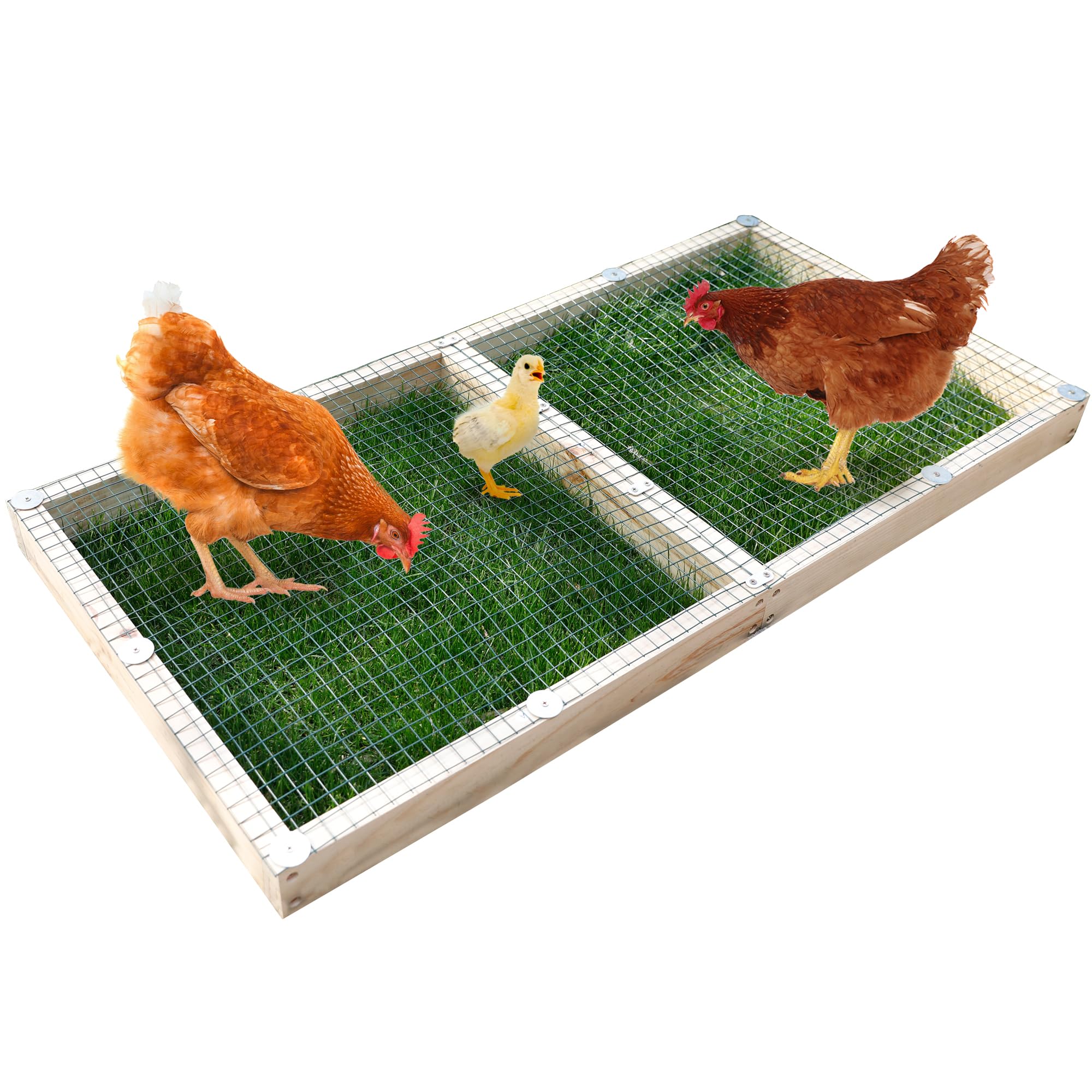 Amazon.com : Solution4Patio Chicken Grazing Box, Chicken Salad Bar, 47 ...