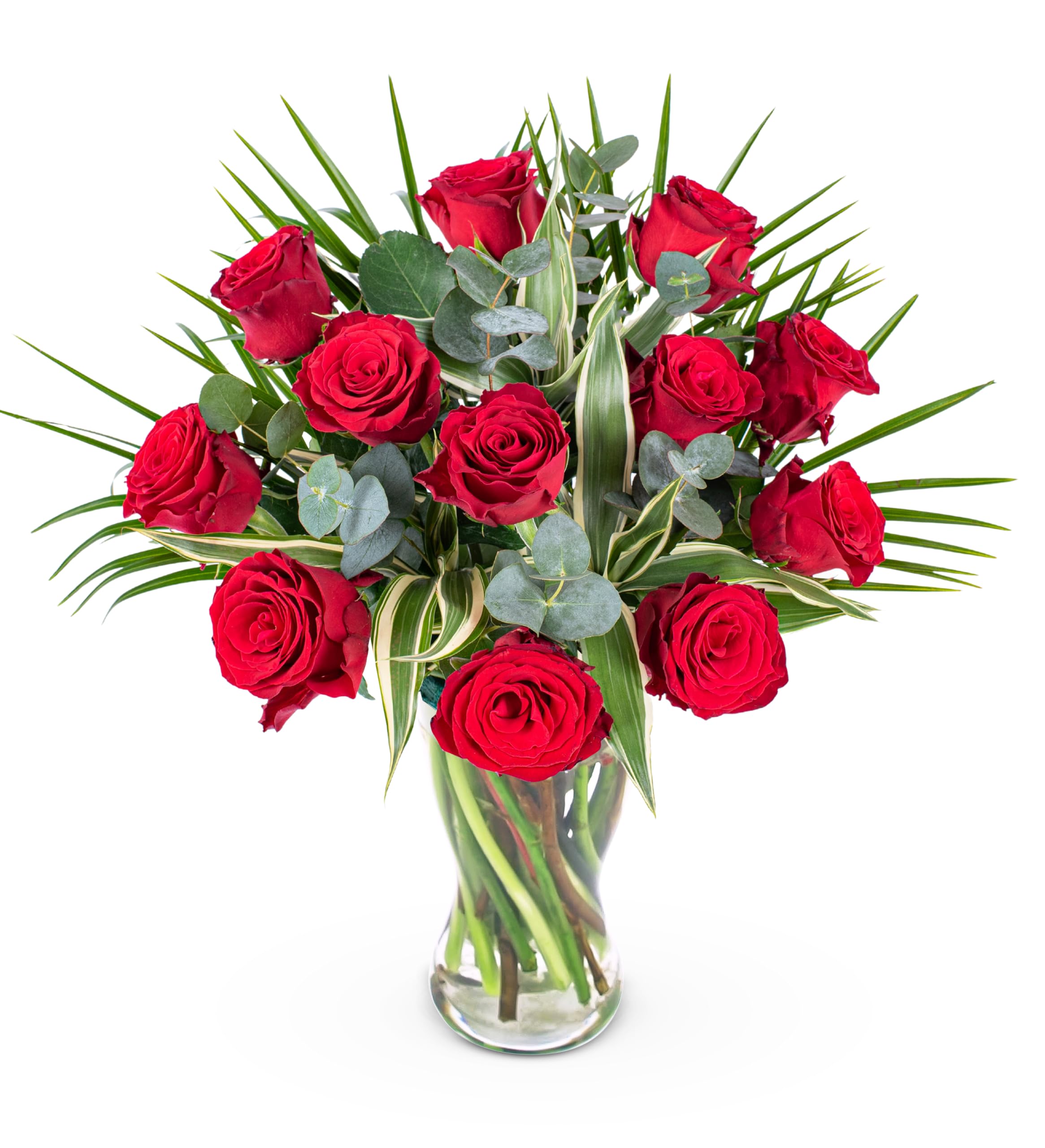 12 Red Roses - Fresh Flowers - Red Roses bouquet surrounded by ...