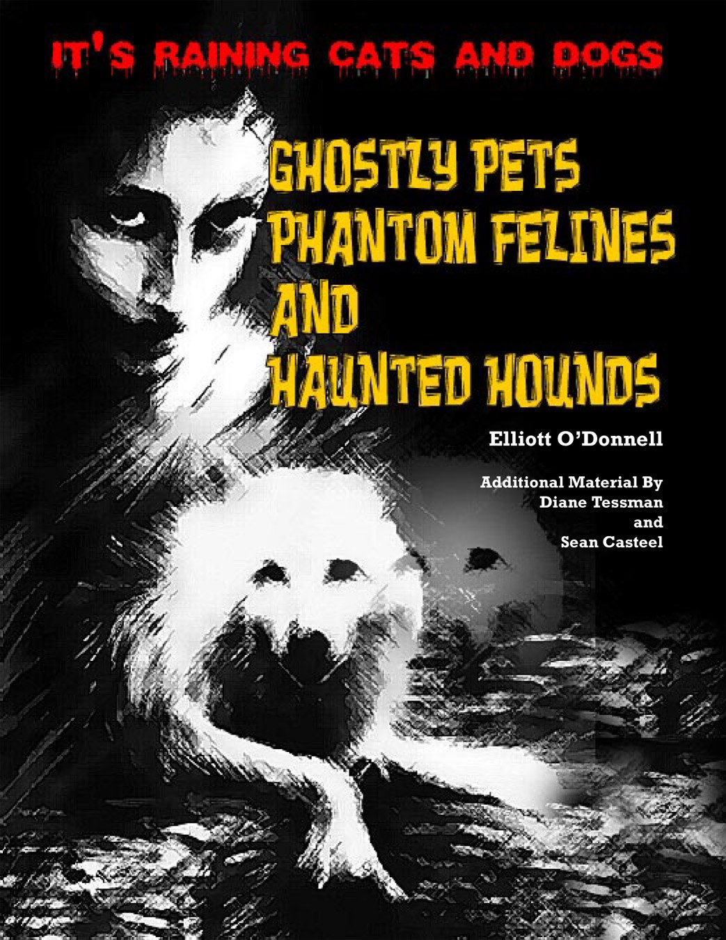 It's Raining Cats And Dogs: Ghostly Pets, Phantom Felines And Haunted ...