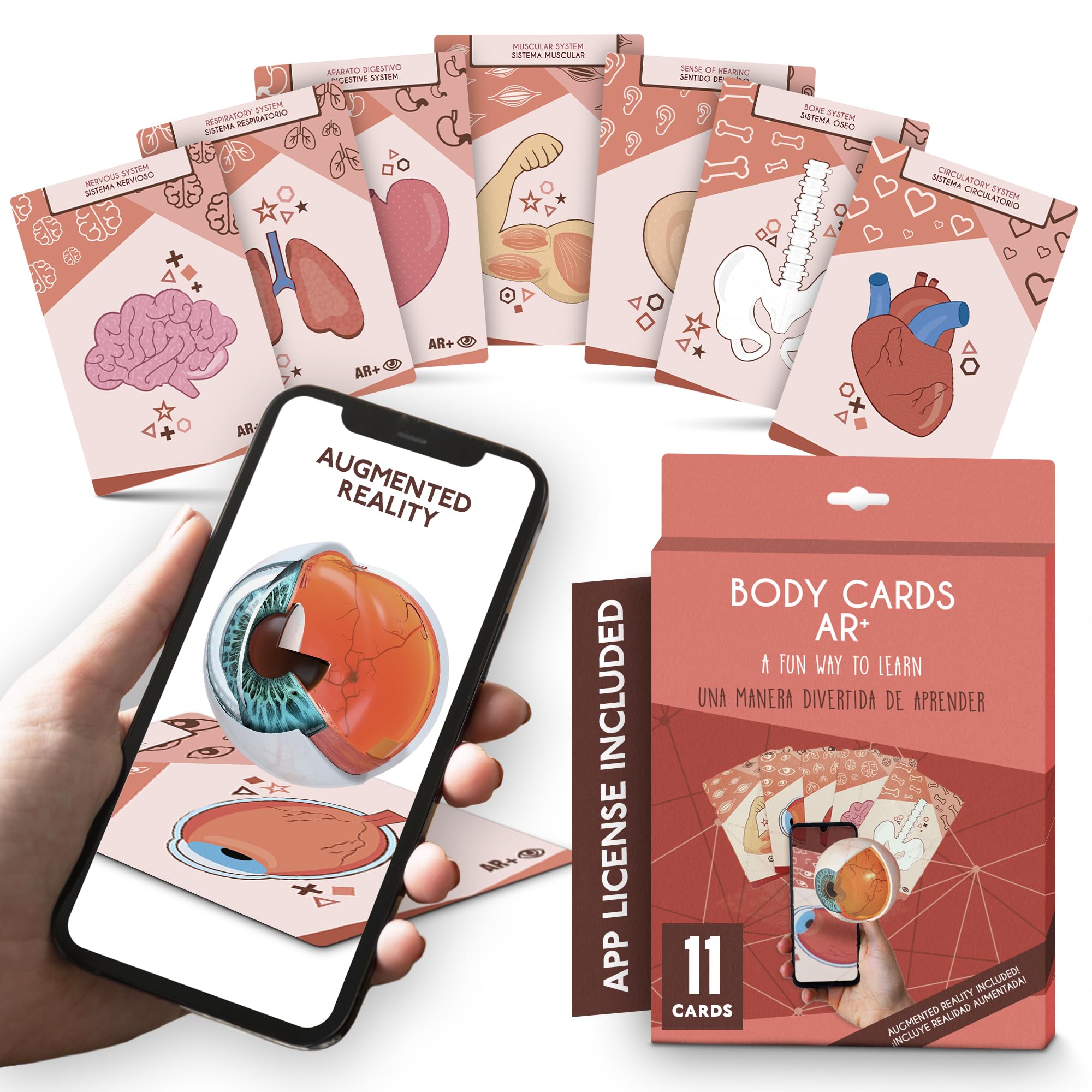 AR+ Body Planet: Body Cards, Cartes du Corps Humain avec réalité ...