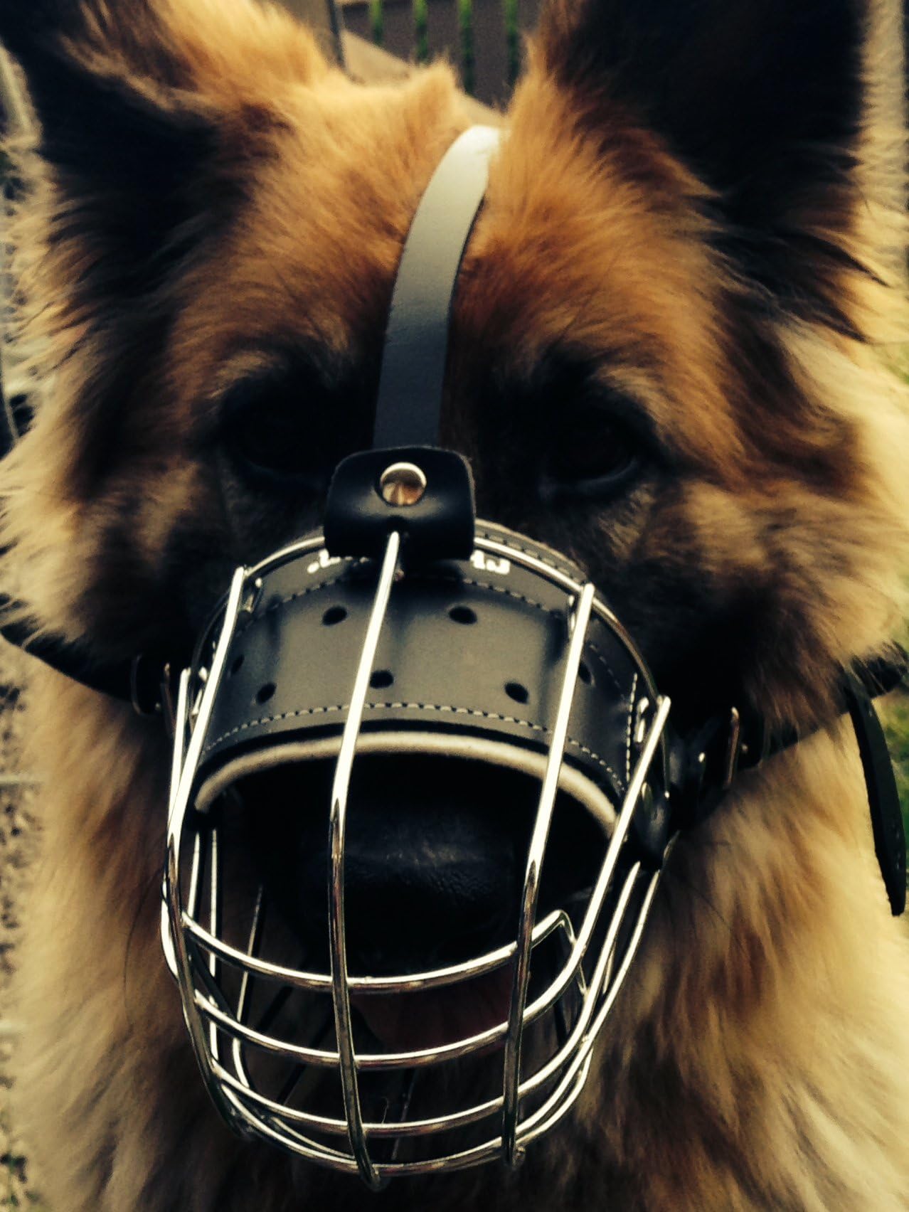 Baskerville Ultra Muzzle Size 5 : Amazon.co.uk: Pet Supplies