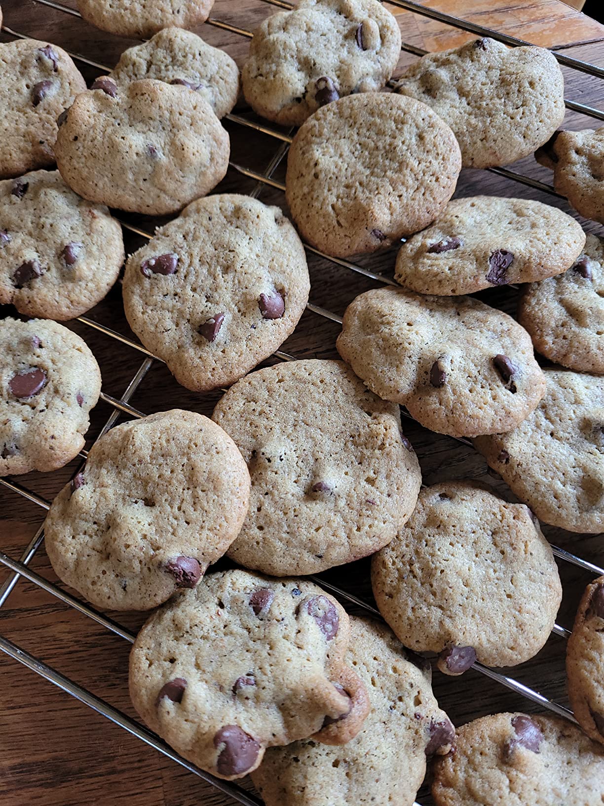 Amazon.com : Cricket Flour: All Purpose Baking Flour 12oz (Blended Mix ...