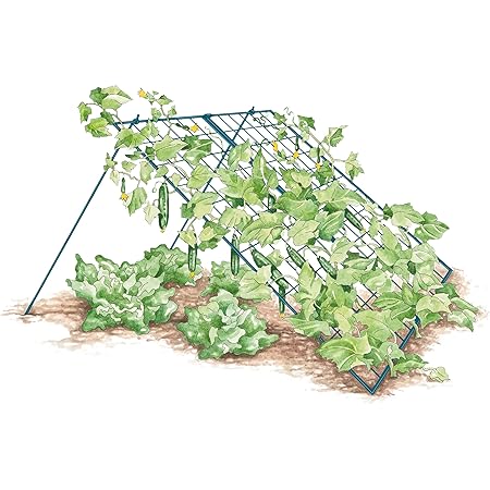 Amazon.com : Gardeners Supply Company Sturdy Expandable Tall Pea ...