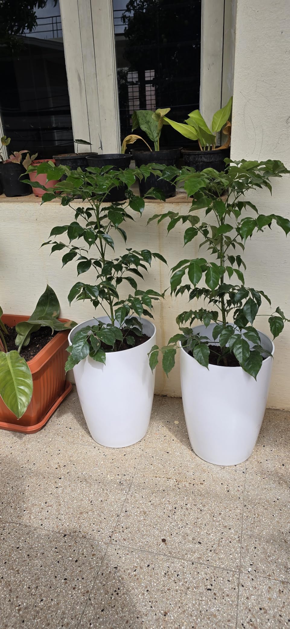 MUDDSTYLES Plastic Tower Pot 14 inch Flower Pots for Home office Garden ...