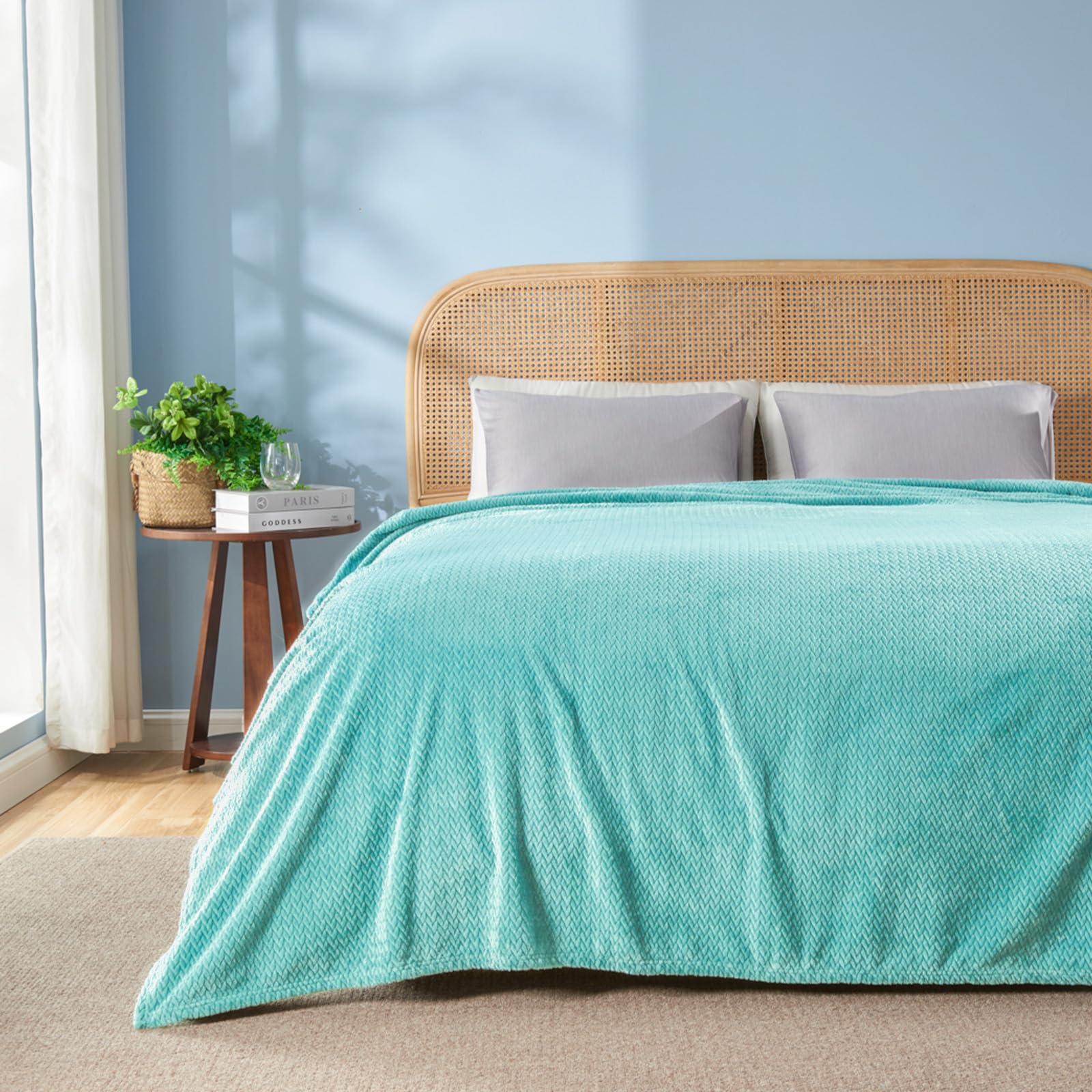 NEWCOSPLAY Super Soft King Blanket Turquoise Premium Silky Flannel ...