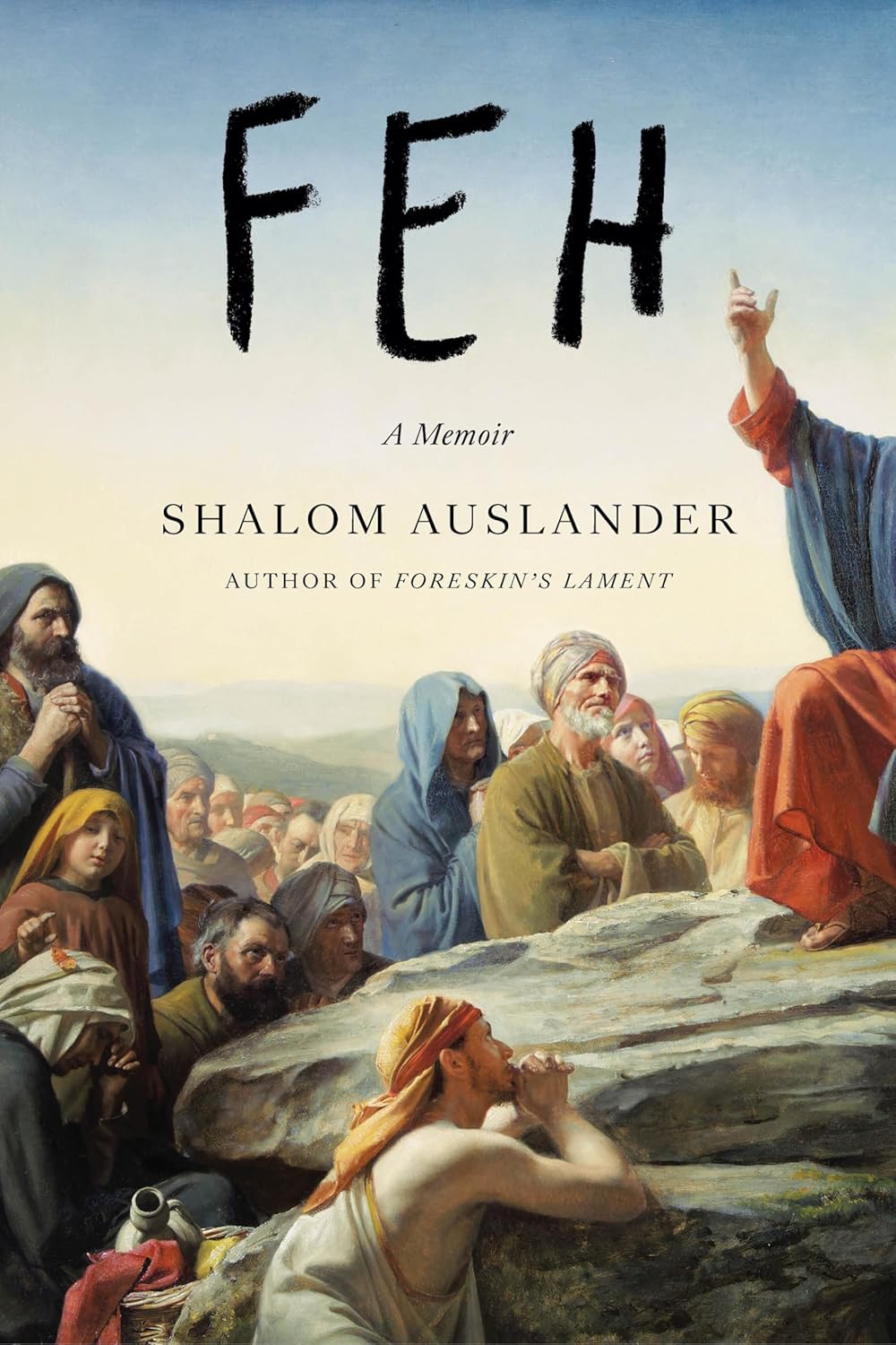 Feh: A Memoir: Auslander, Shalom: 9780735213265: Amazon.com: Books