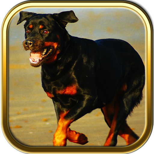 Rottweiler JigsawPuzzle Games:Amazon.co.jp:Appstore for Android
