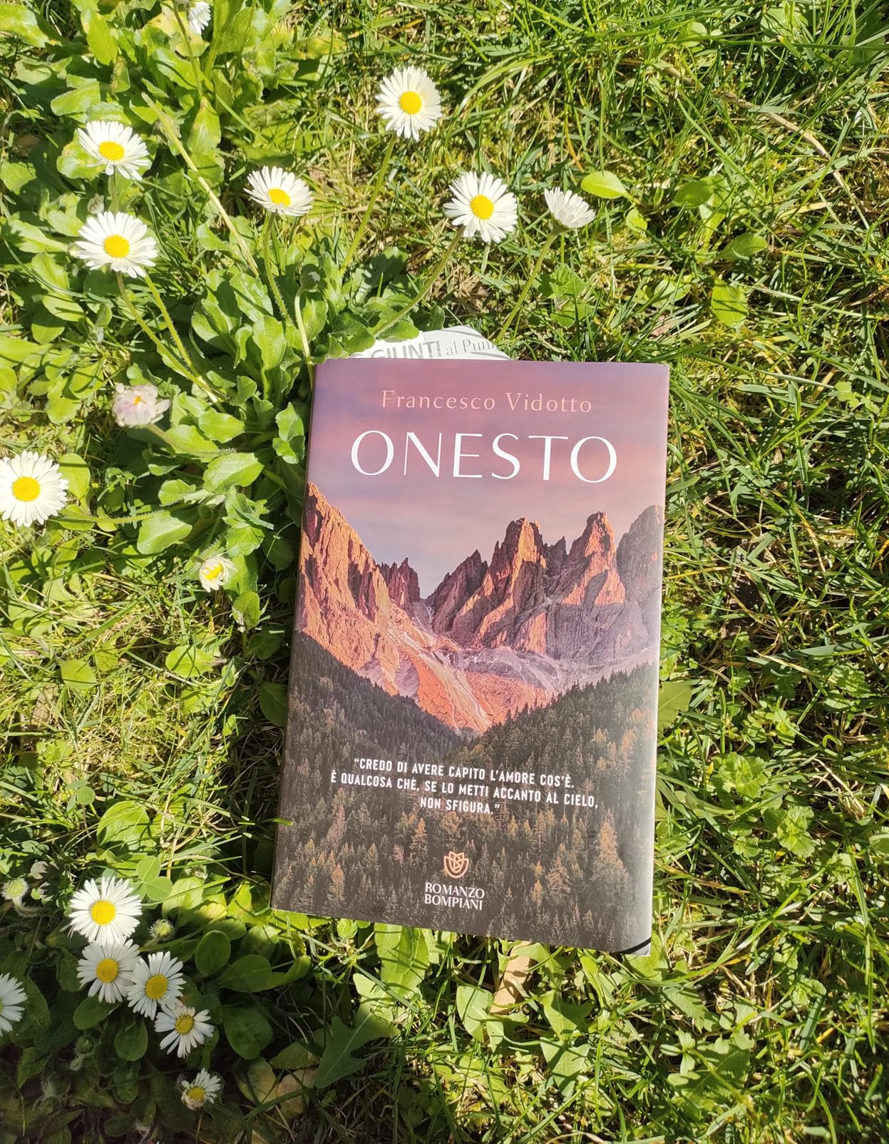 Onesto : Vidotto, Francesco: Amazon.it: Libri