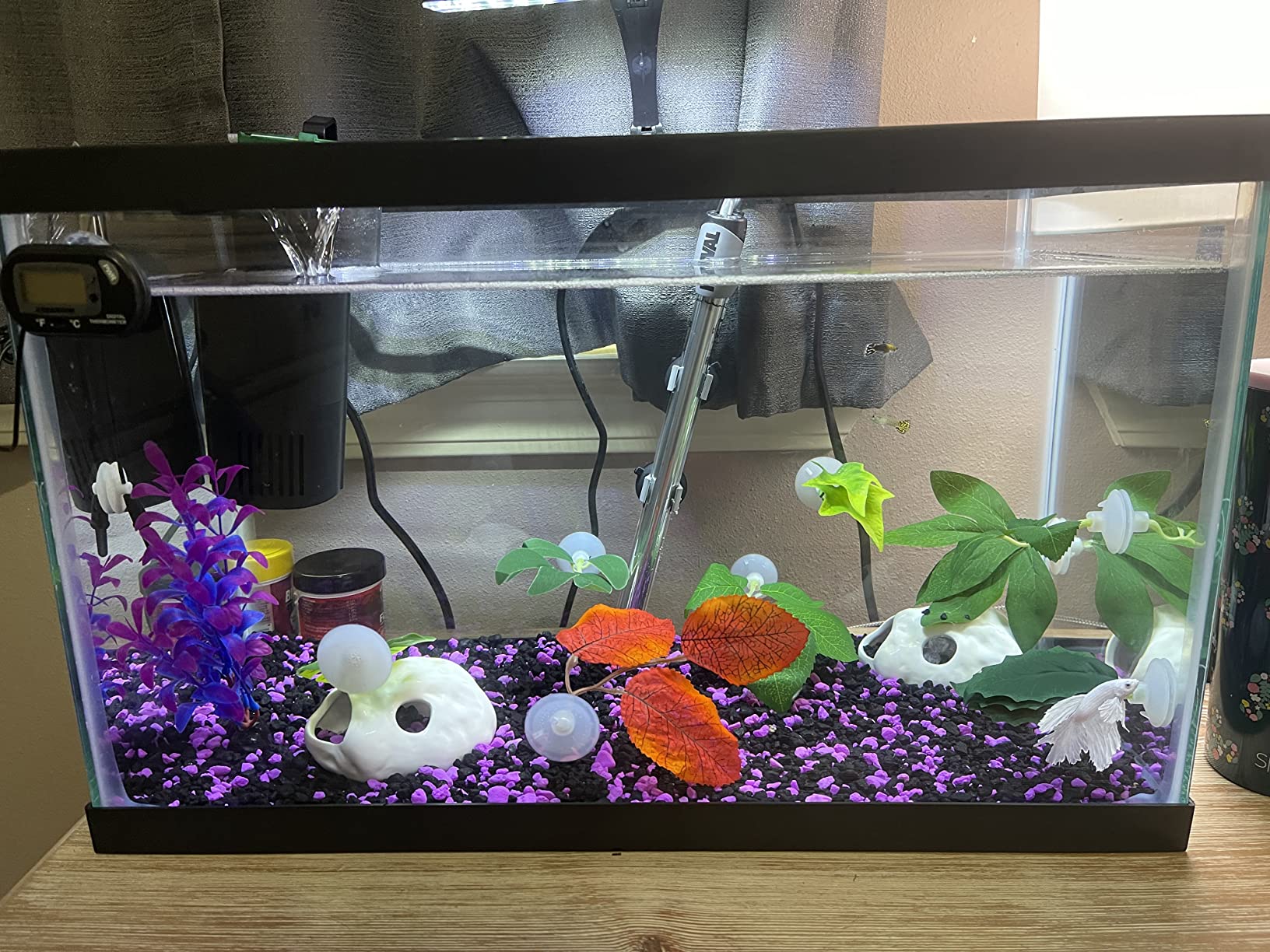 $4/mo - Finance Fluval M50 Submersible Heater, 50-Watt Heater for ...