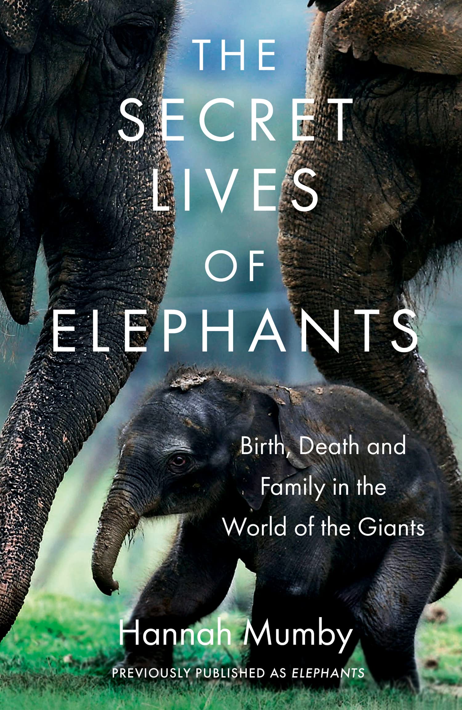 The Secret Lives of Elephants: Birth, Death and Family in the World of ...