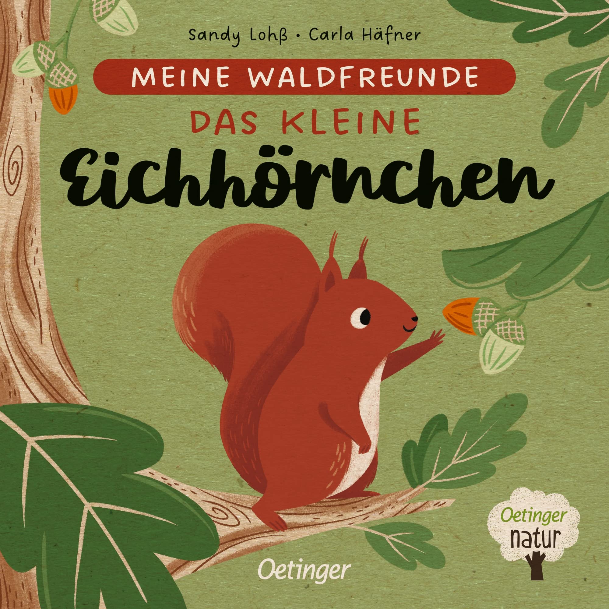 Meine Waldfreunde. Das kleine Eichhörnchen: Pappbilderbuch über ...