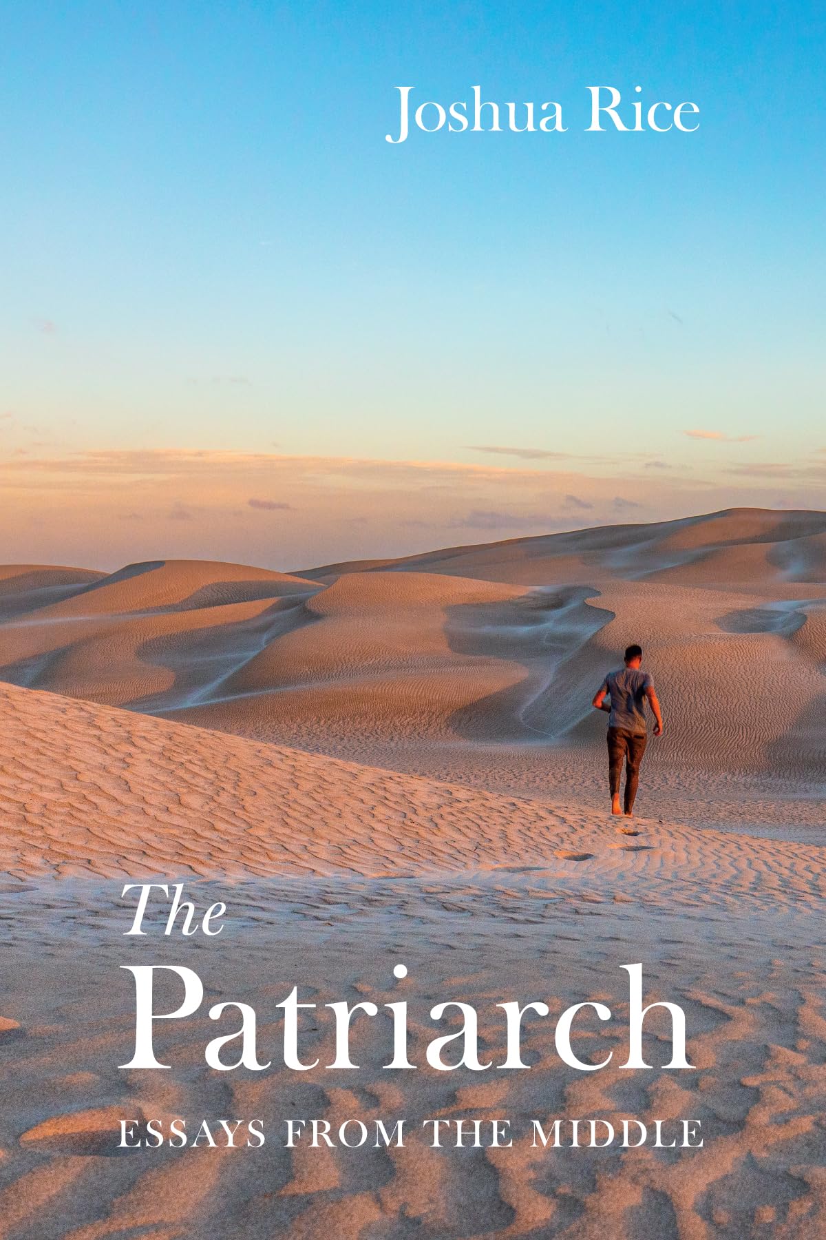 The Patriarch: Rice, Joshua: 9781666773545: Amazon.com: Books