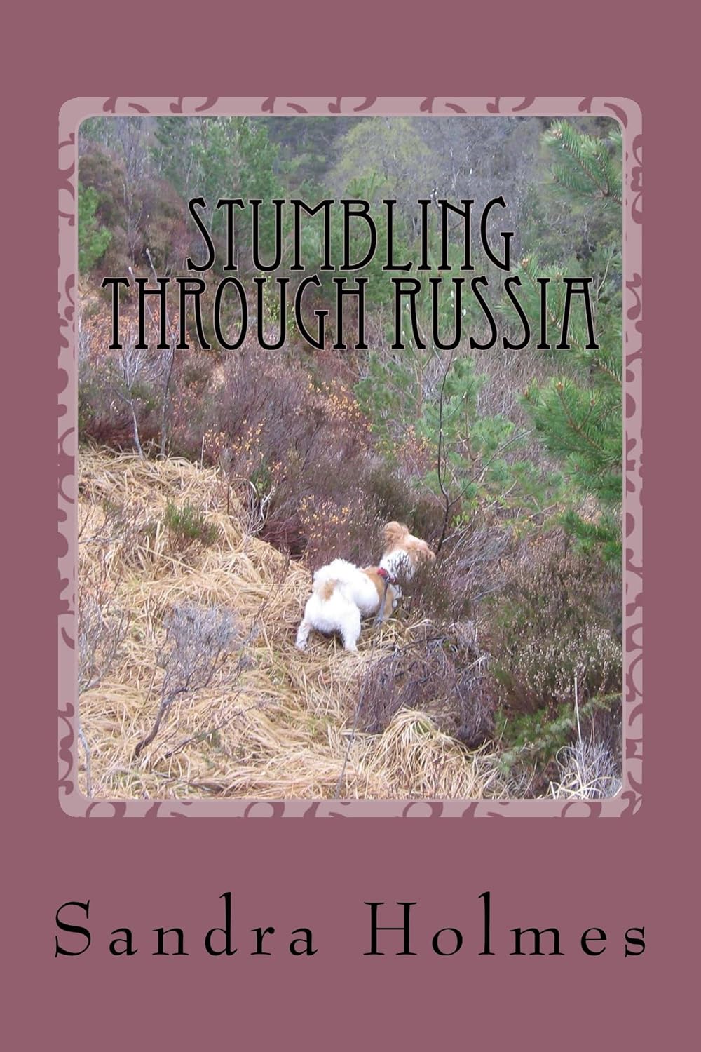 Amazon.com: Stumbling Through Russia (Stumbling Through Life Book 2 ...
