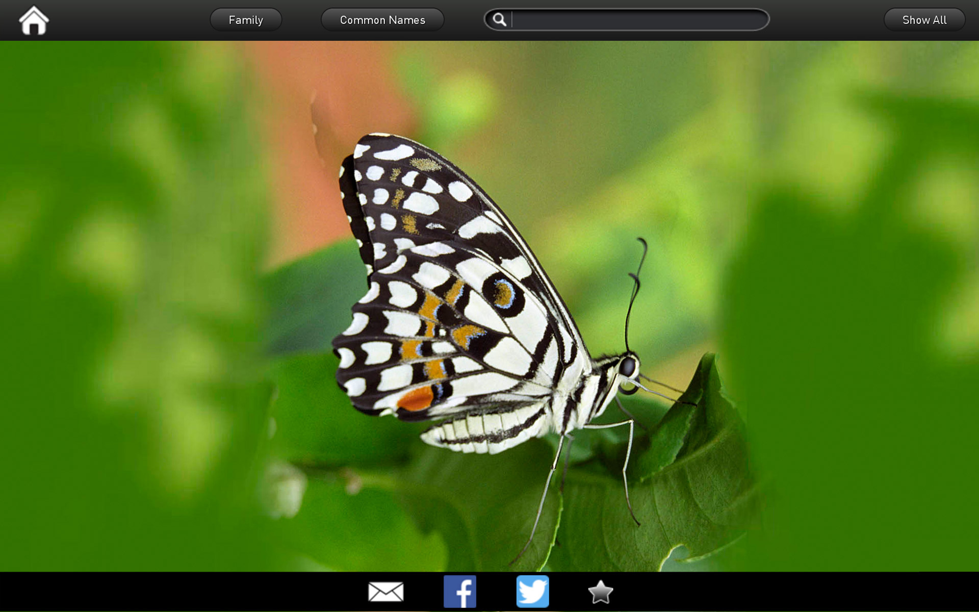 Butterfly eGuide - App on Amazon Appstore