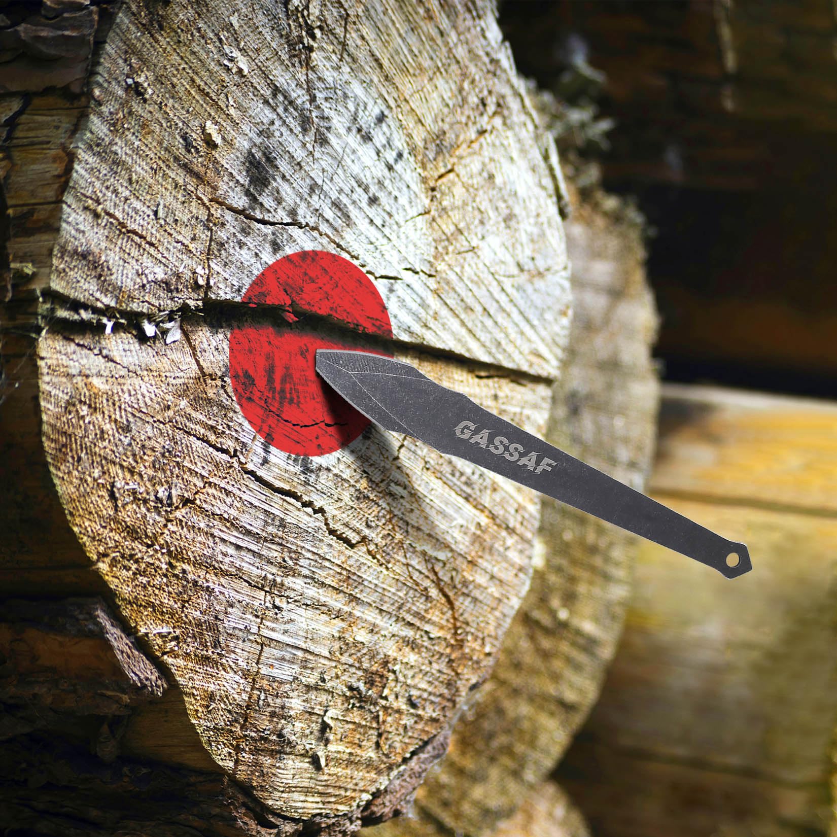 Snapklik.com : Throwing Axe Knife Set Stainless Steel Throwing Tomahawk ...