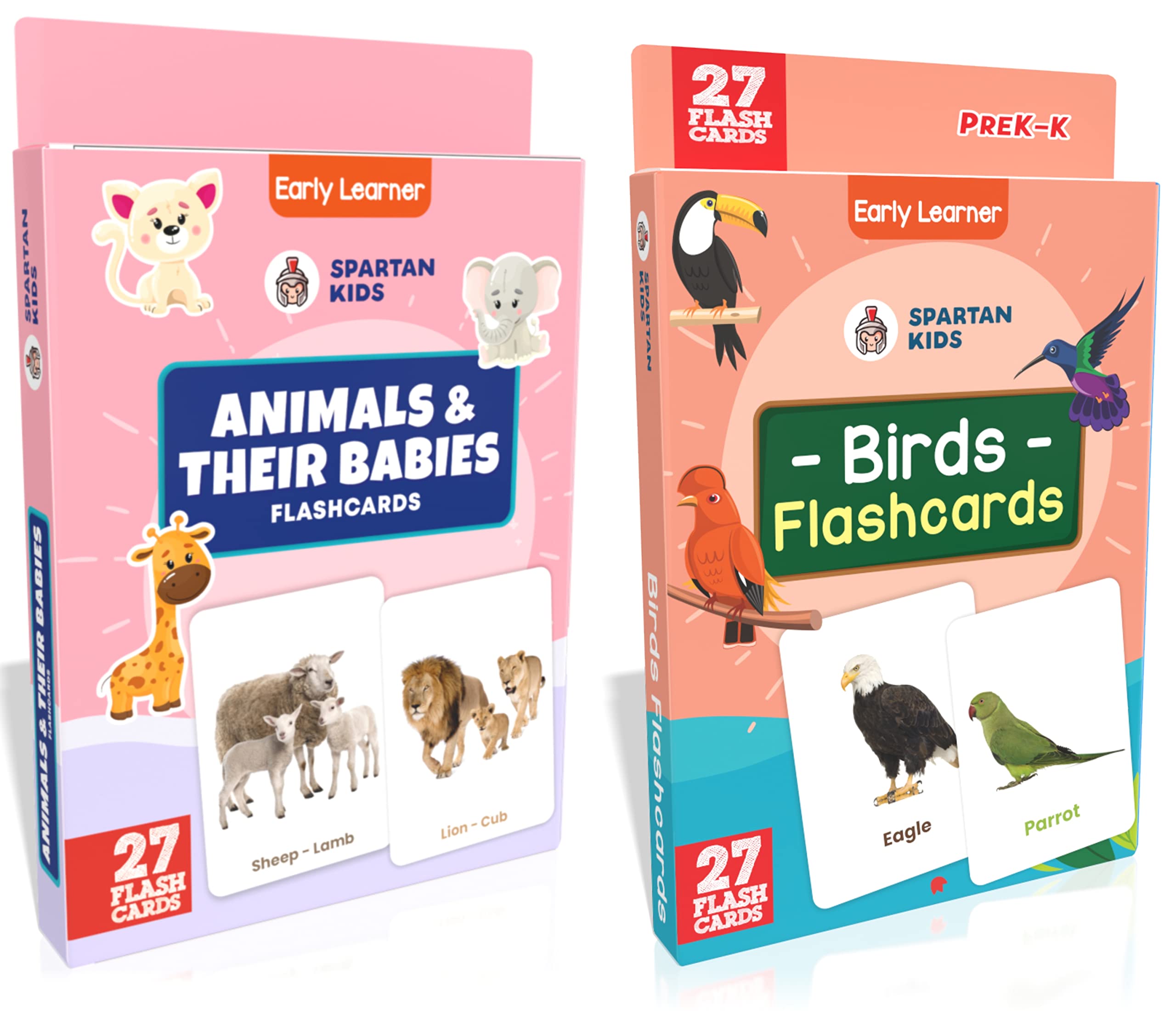 Buy Flash cards for Kids - Animals & Their Babies and Birds (Set of 2 ...