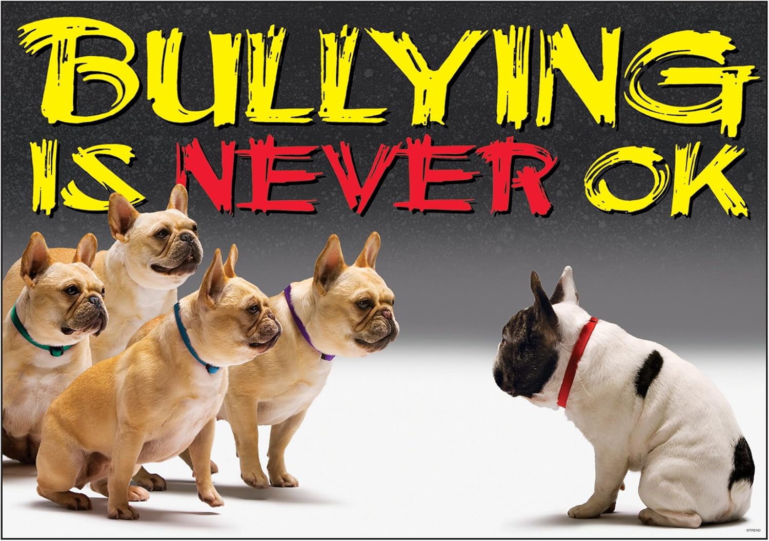 Amazon.com: Argus Bullying is Never OK Poster, 13.375" x 19": Themed ...