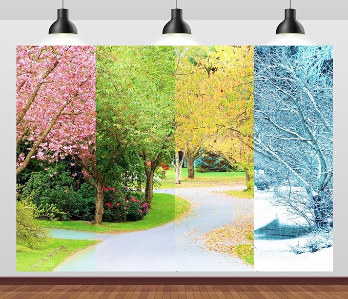 Amazon.com : CORFOTO 7x5ft Four Seasons Tree Backdrop Four Seasons ...