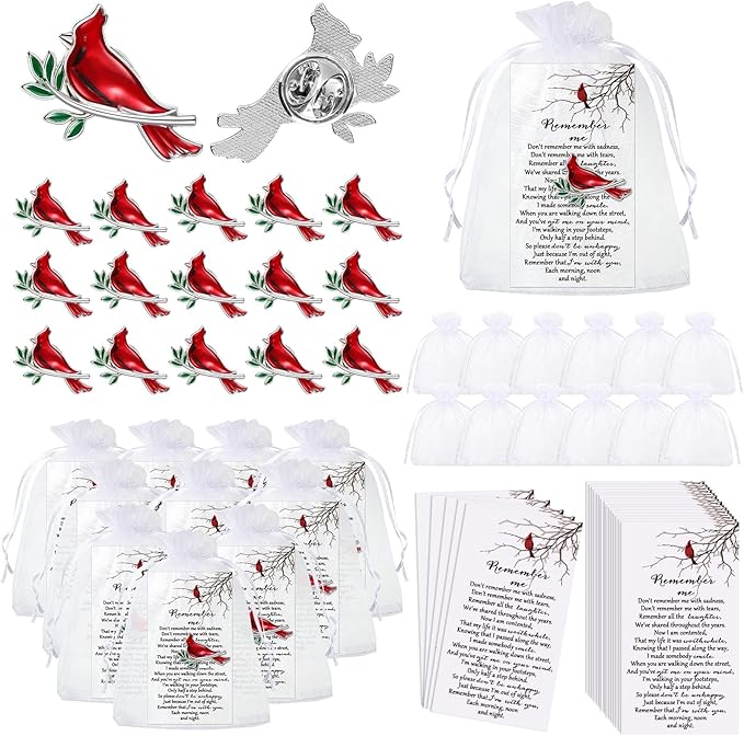 Amazon.com: Inbagi Memorial Cardinal Pin Set, Red Cardinal Bird Pocket ...