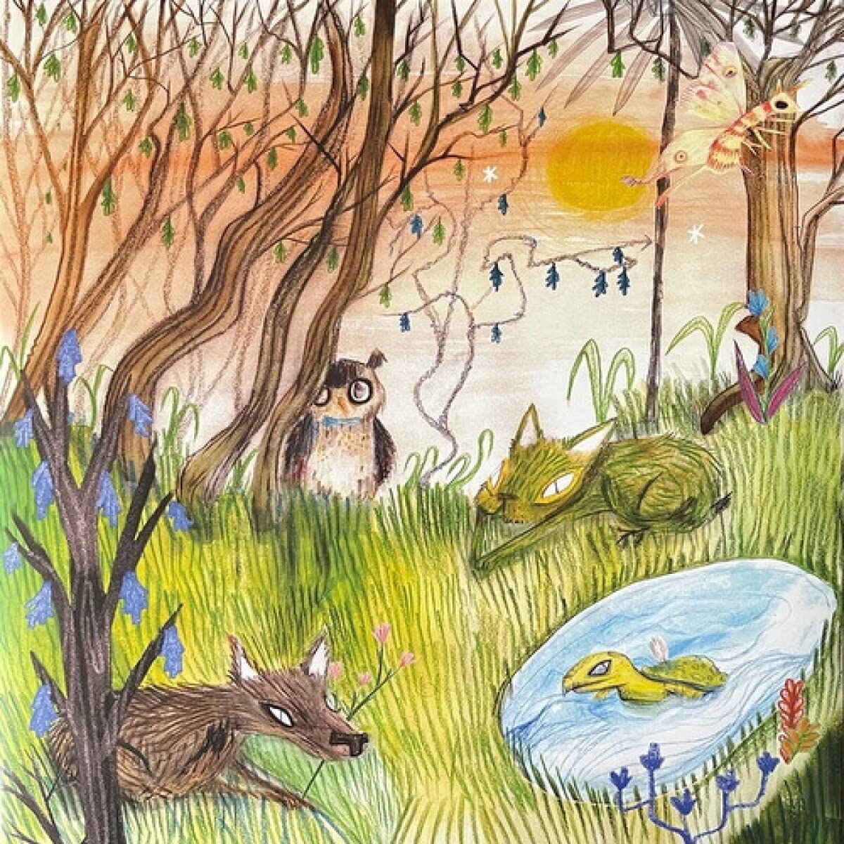 Amazon.com: Animal Kingdom: CDs & Vinyl
